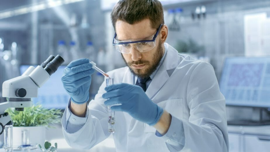 Ci ncias Biol gicas Descubra As Principais reas De Atua o Do Bi logo